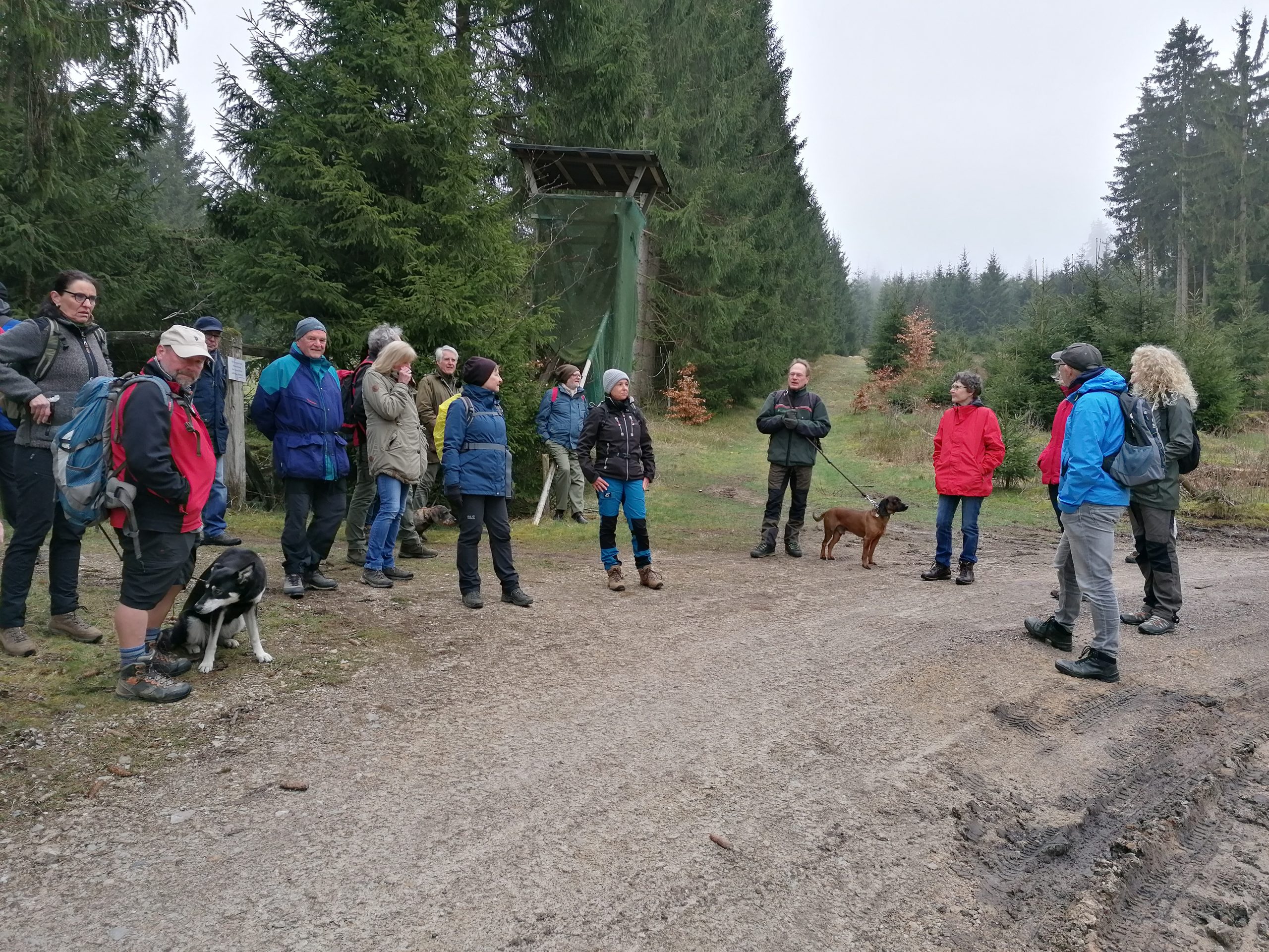 Rund 50 Teilnehmer beim Bürgerforum im neuen Format - Nationalpark ...